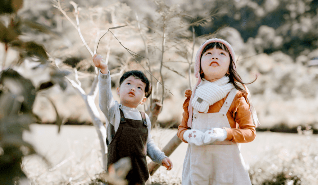 Escuelas Bosque: ¿qué son, cuál es su origen y en qué pueden beneficiar ...
